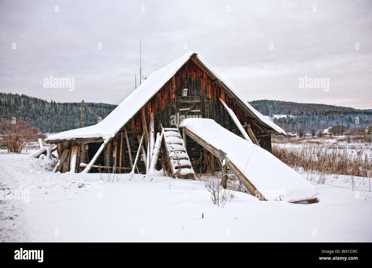 old wooden house in siberia forest Stock Photo - Alamy