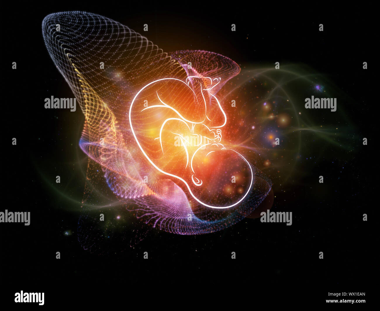 Composition of drawing of a fetus and abstract design elements on the ...