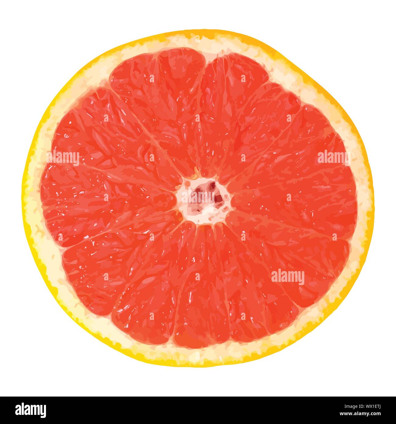 Red grapefruit segment Stock Vector Images - Alamy