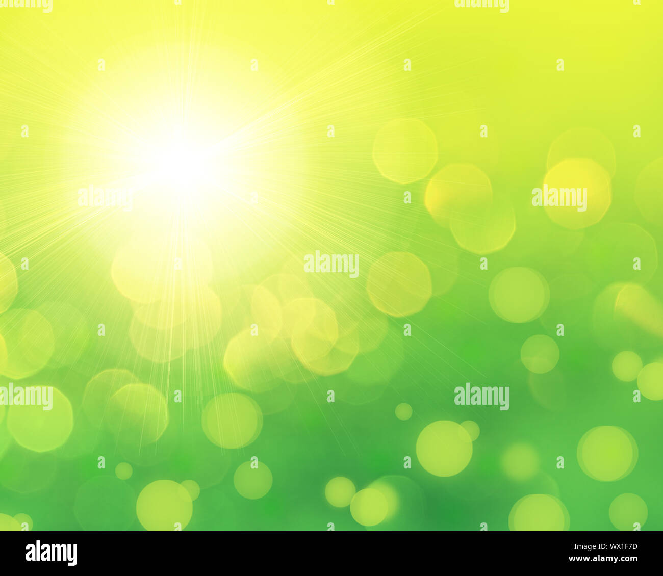 Fresh green abstract spring background with bokeh effect and sun light ...