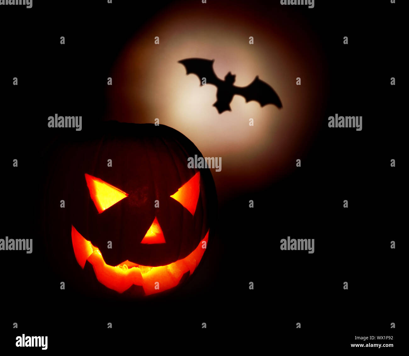 Halloween pumpkin and bat isolated on black background Stock Photo - Alamy