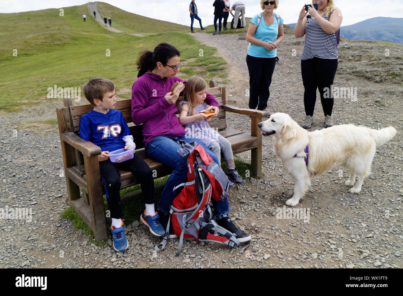 A dog looking hungrily at a family of three sat on a bench eating their ...