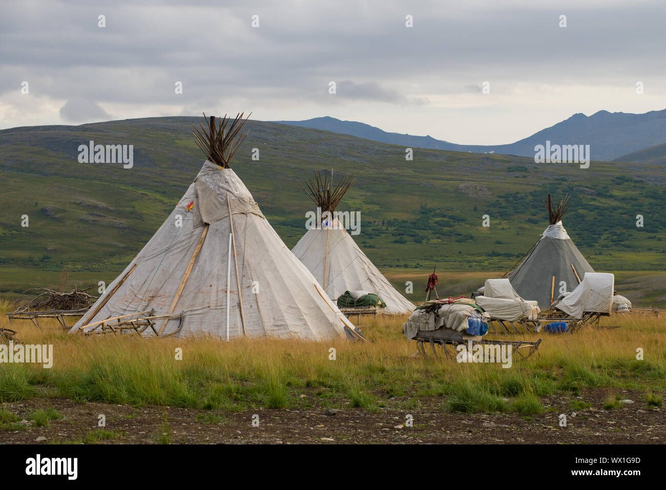 Camp of nomad reindeer herders on a cloudy August morning. Yamal ...