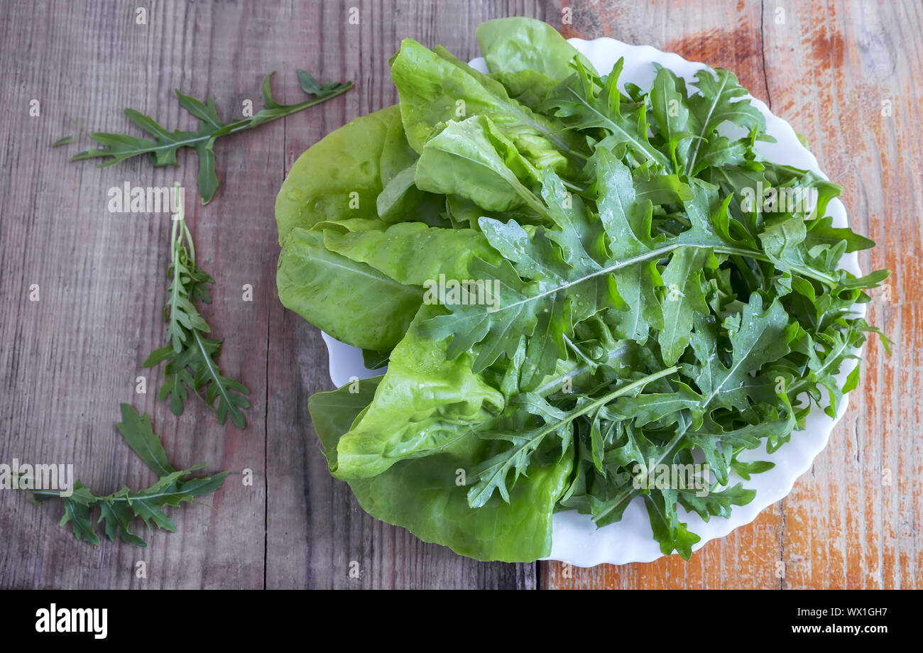 Fresh green arugula leaves Stock Photo - Alamy
