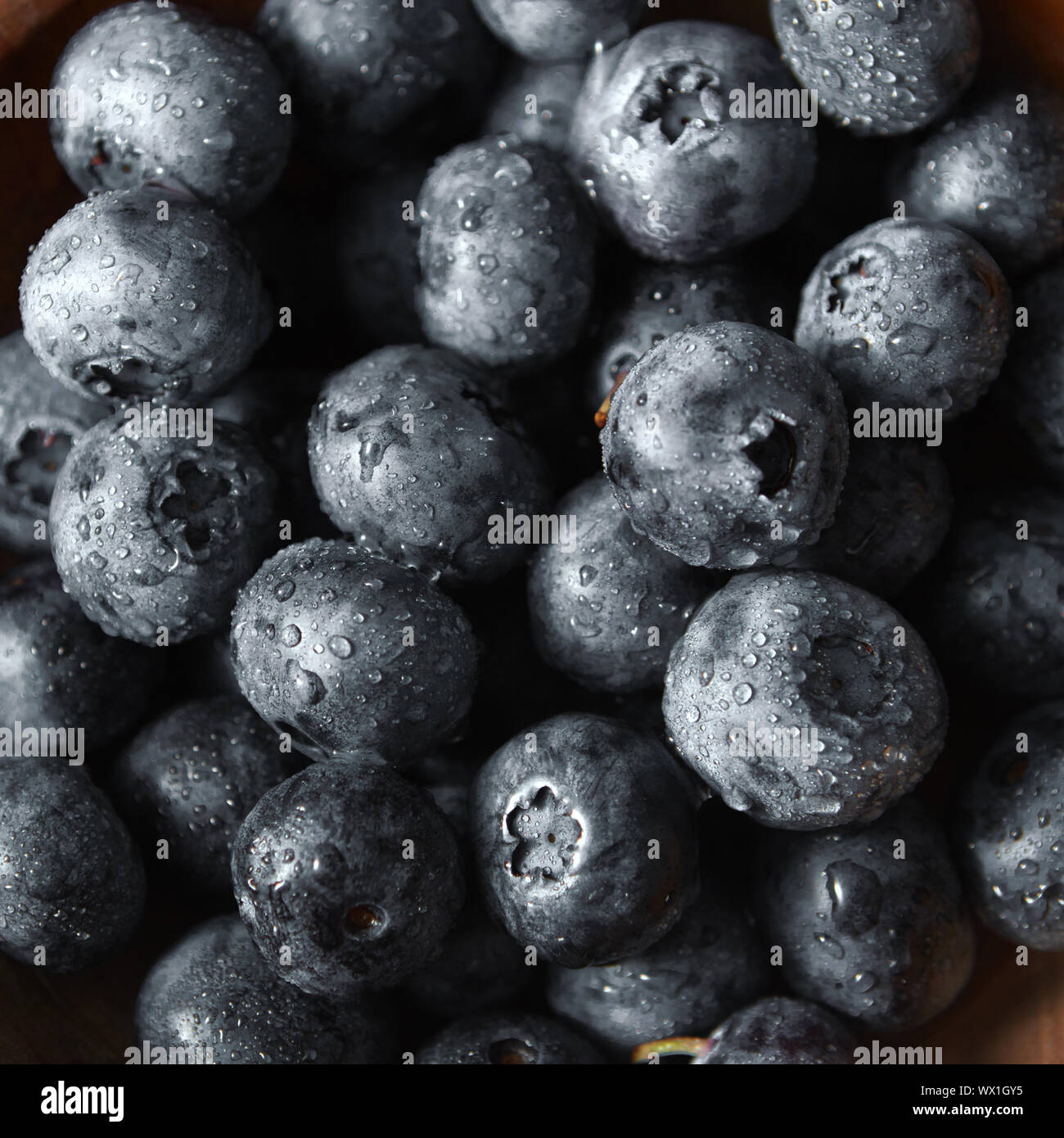 Close-up ripe sweet blueberries in water droplets with soft focus ...