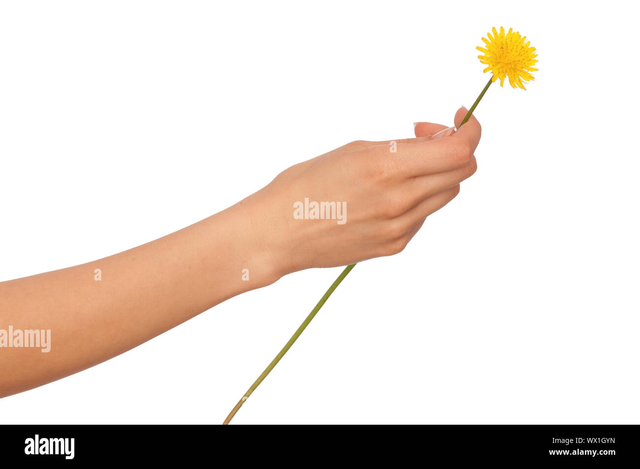 Aade hi-res stock photography and images - Alamy