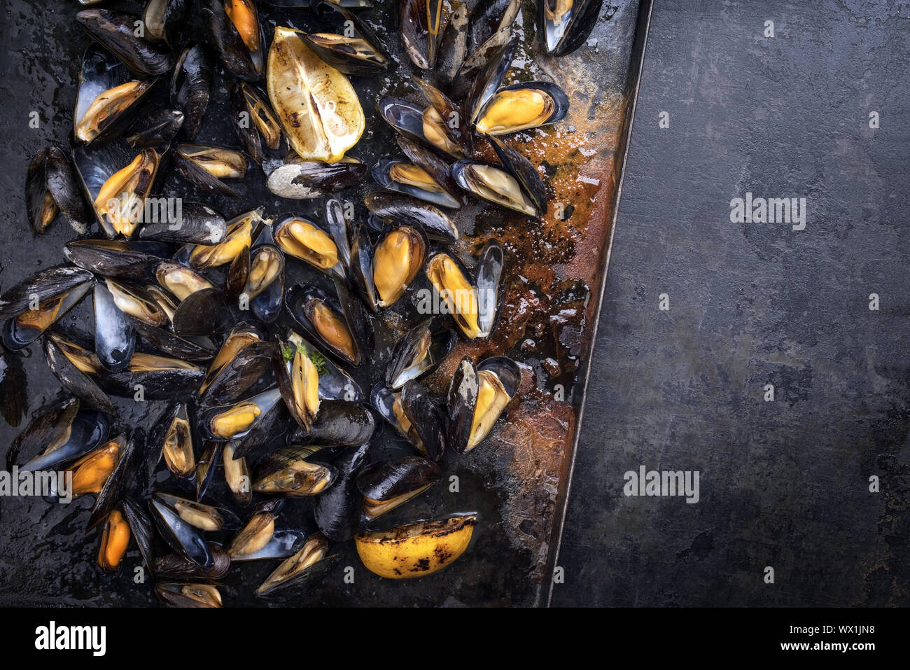 Traditional barbecue Italian blue mussel as top view on a metal sheet ...