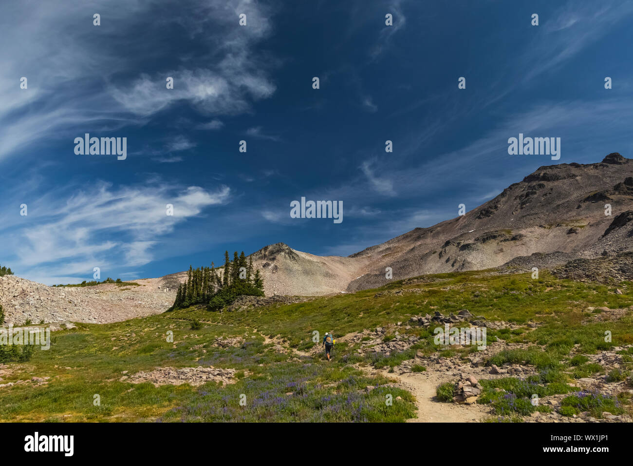Thru-hiker along the Pacific Crest Trail in the Goat Rocks Wilderness ...