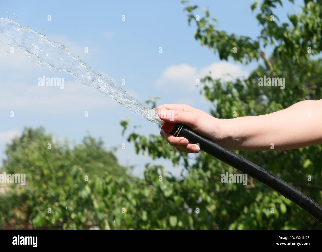 Hand with hose Stock Photo - Alamy