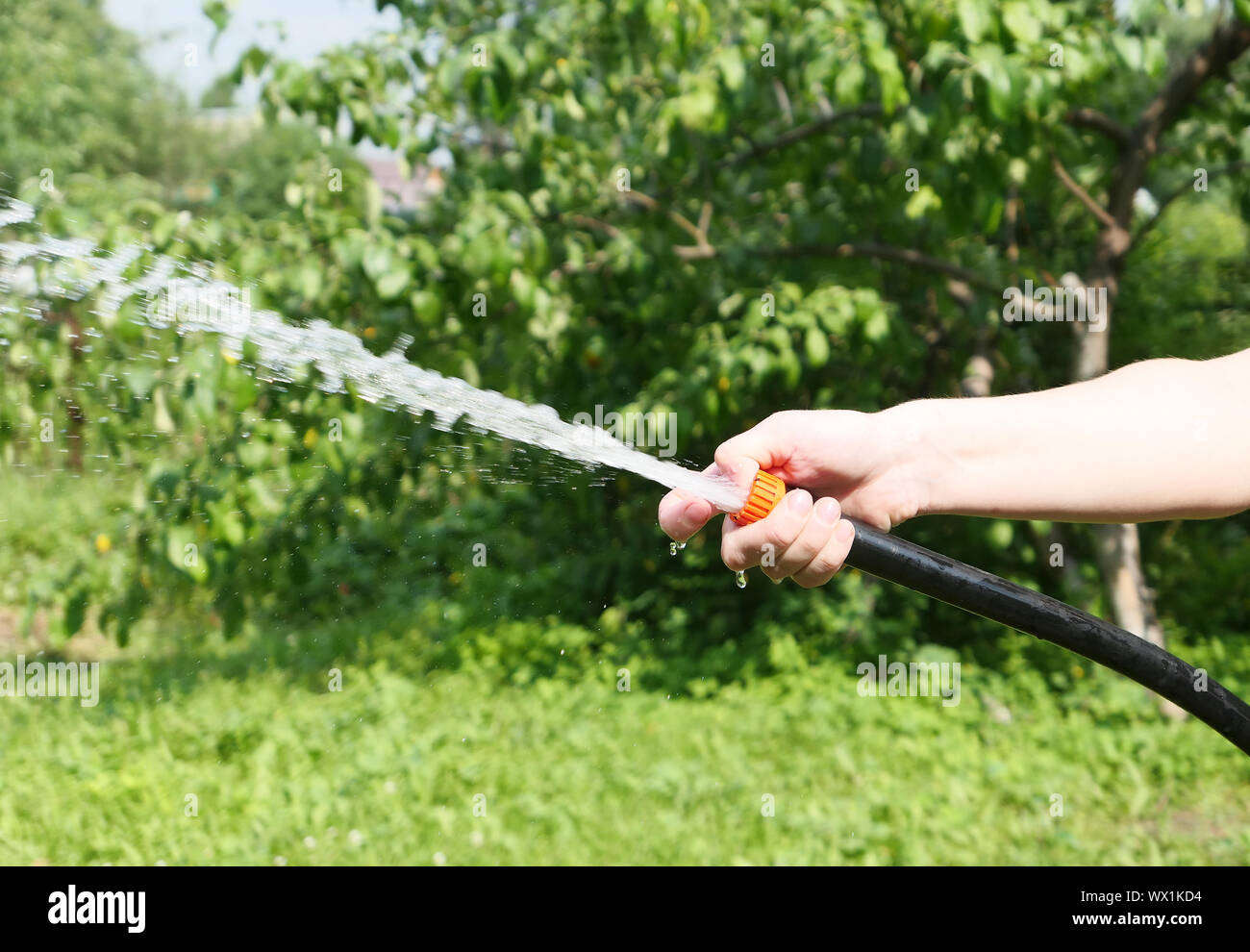 Hand with hose Stock Photo - Alamy