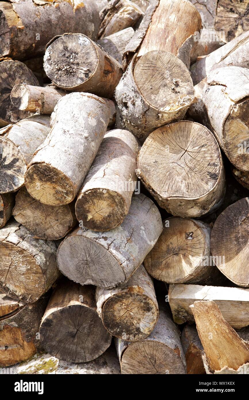Piled stumps hi-res stock photography and images - Alamy