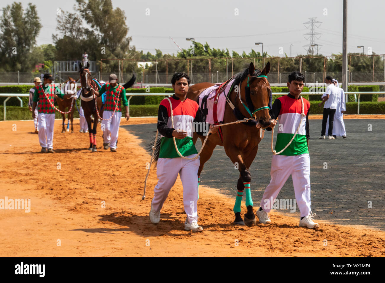 Horse Racing at King Khalid Racetrack, Taif, Saudi Arabia 28/06/2019 ...