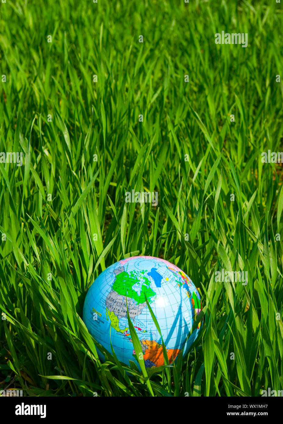 Earth globe in hte grass Stock Photo - Alamy
