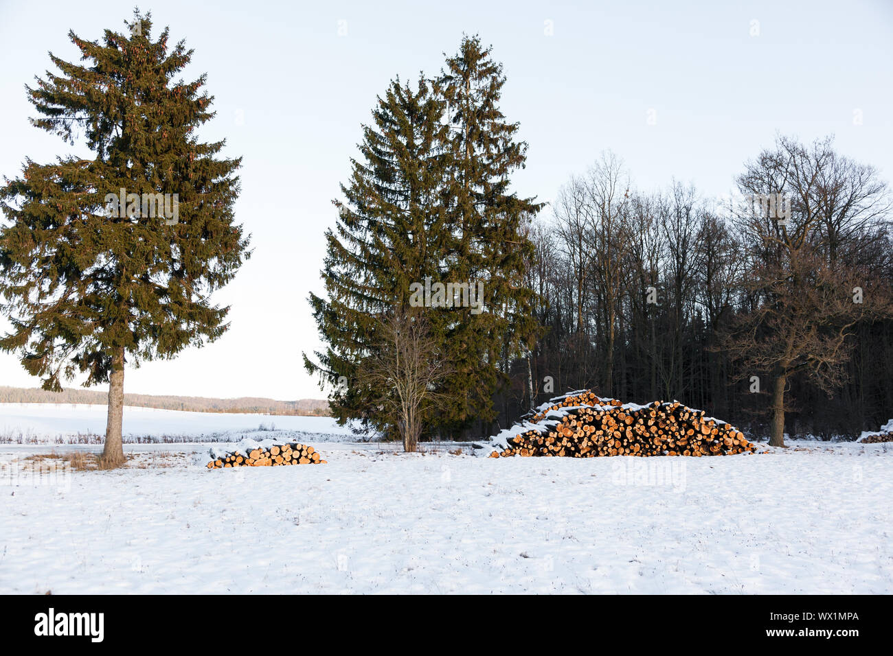 Wooden poles in winter Stock Photo - Alamy
