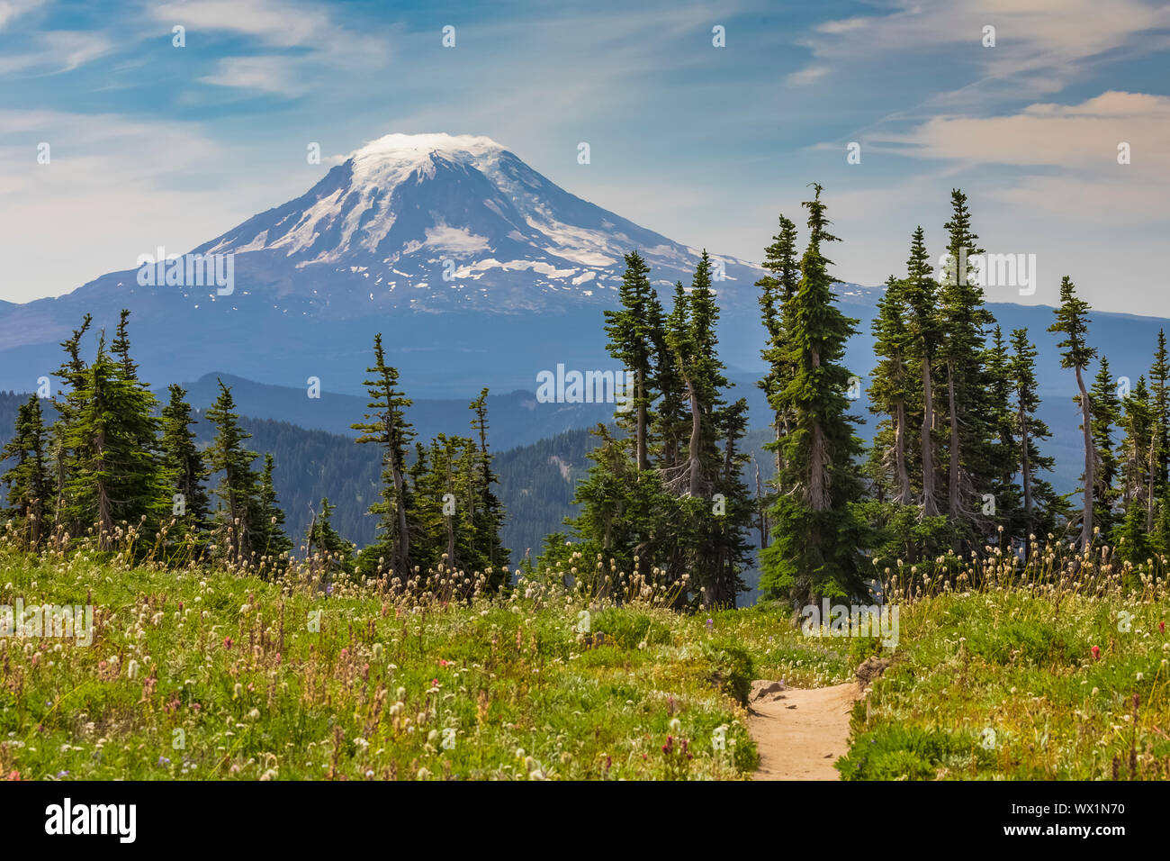 Mount Adams viewed from the Pacific Crest Trail crossing the Goat Rocks ...