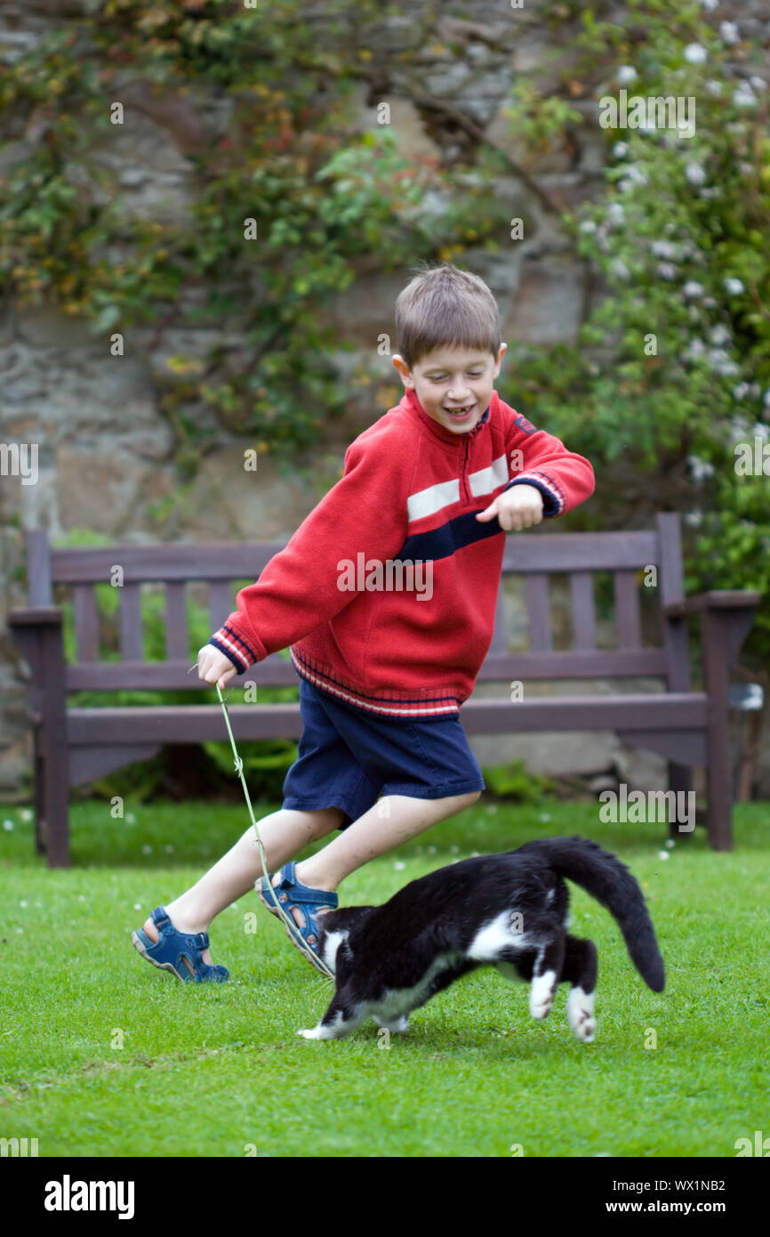 Kid chasing cat hi-res stock photography and images - Alamy