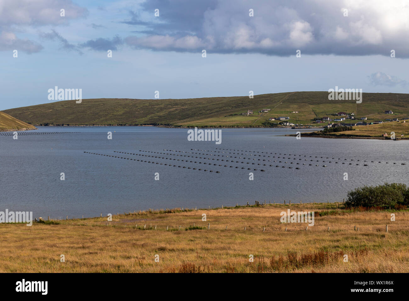 Fish farm near Ravensgio in Yell island, Shetland, Scotland, UK Stock ...