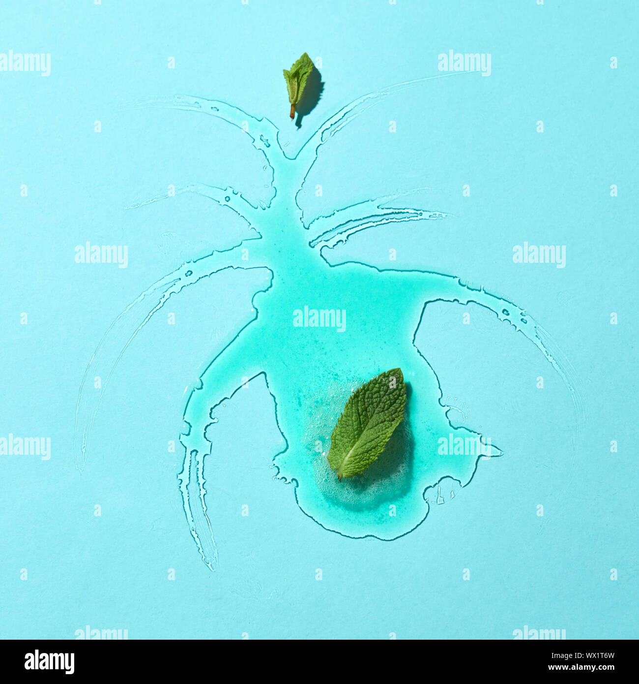 Flat lay of a puddle of melted green mint ice cream with mint leaves on ...