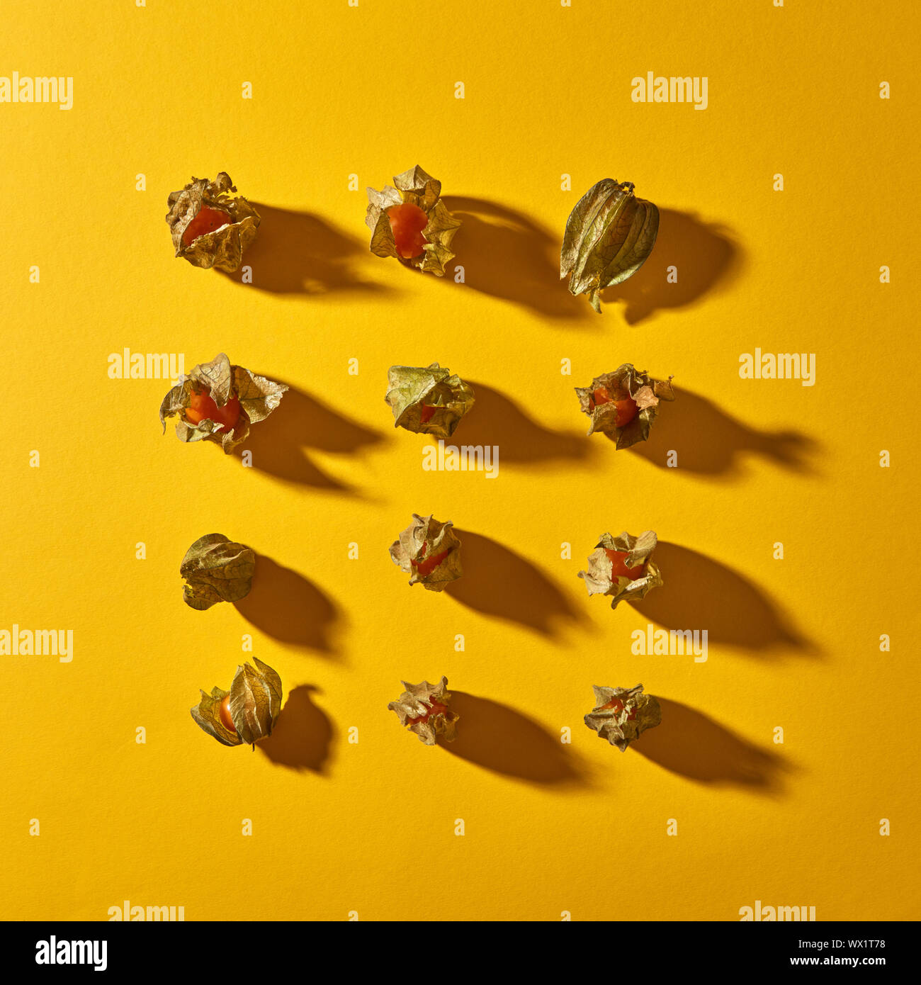 Flat lay view of the pattern of yellow physalis fruit with shadows in ...