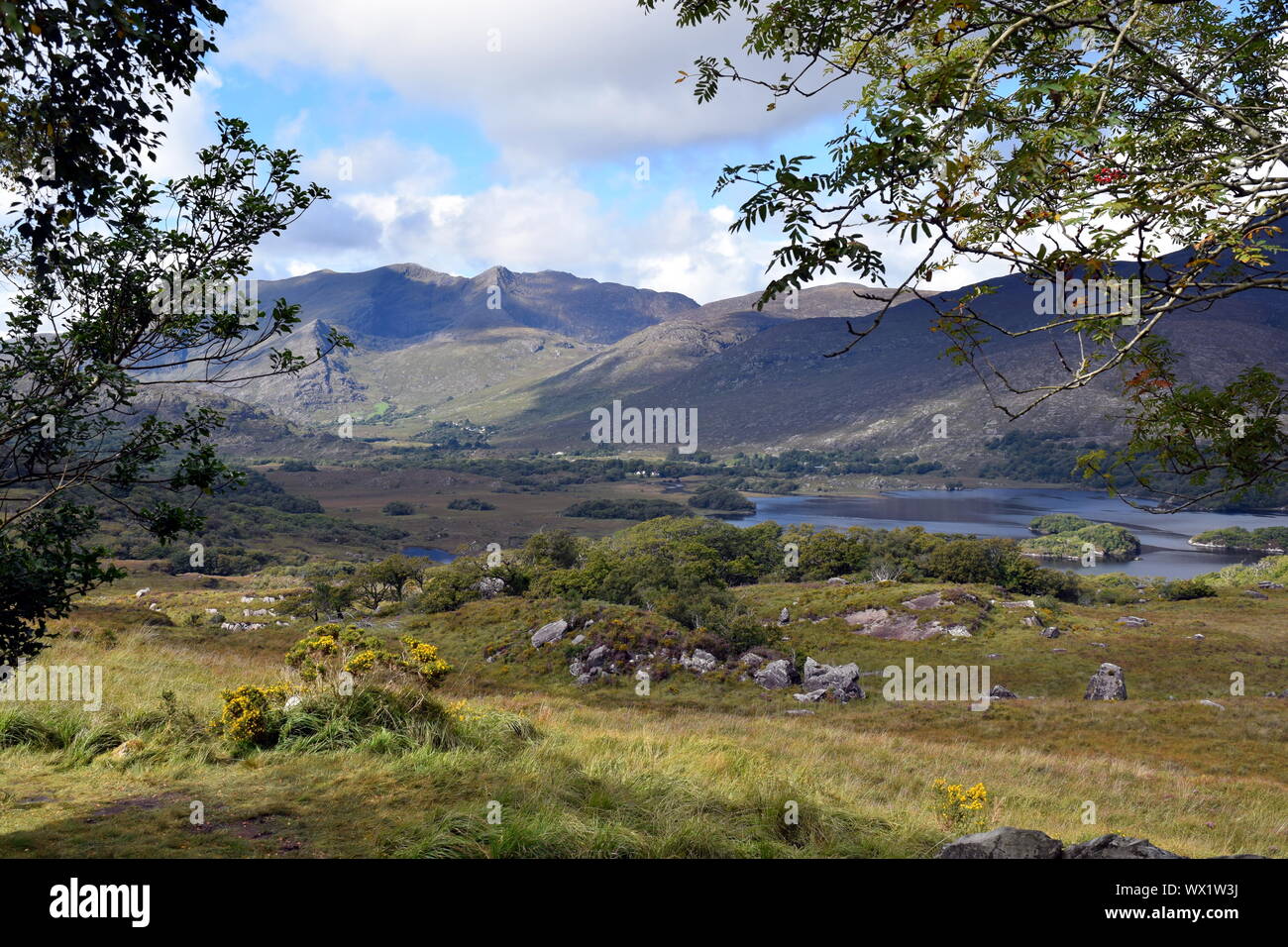 Killarney National Park landscape, Ireland Stock Photo - Alamy