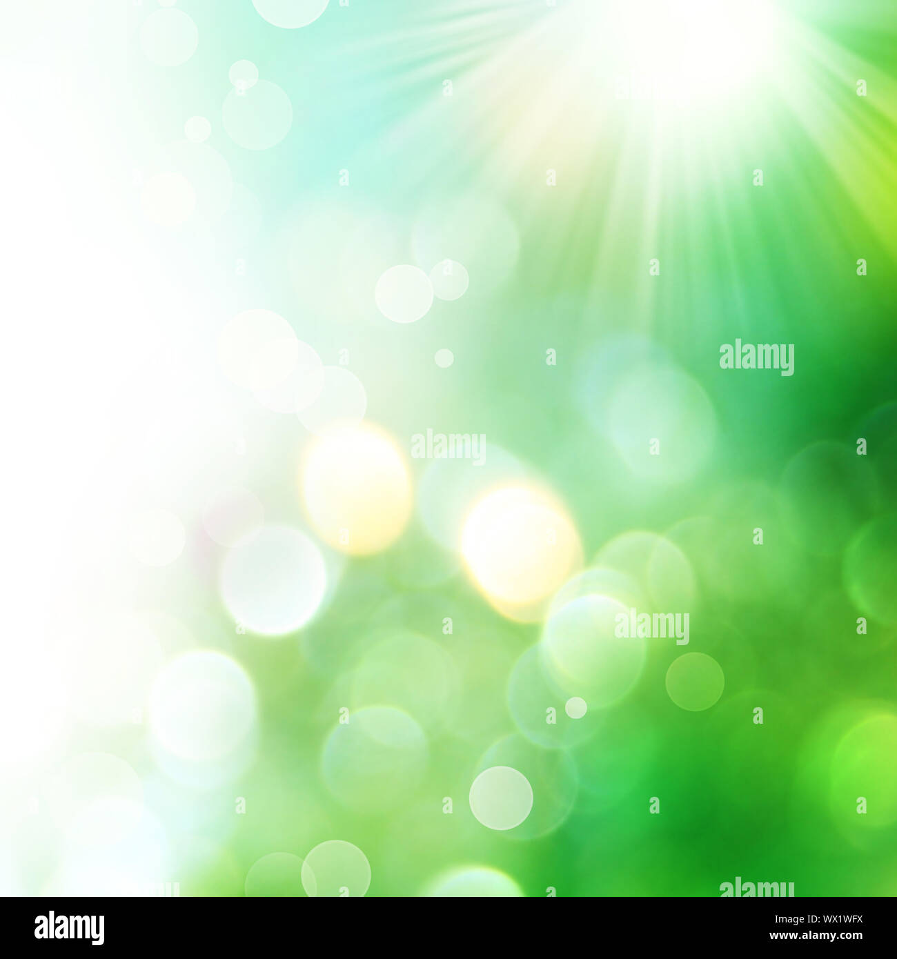 Beautiful Nature Bokeh Stock Photo - Alamy