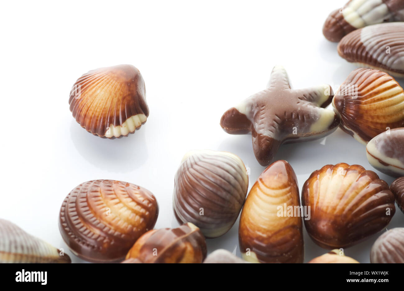 Chocolate Seashells Over White Stock Photo - Alamy