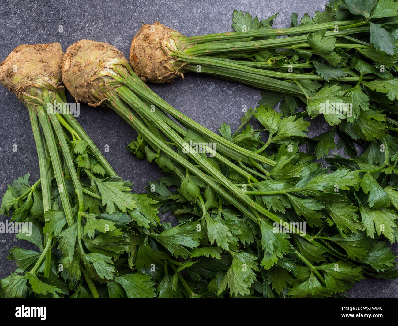 Fresh celery with root leaf on white background, healthy vegetarian ...