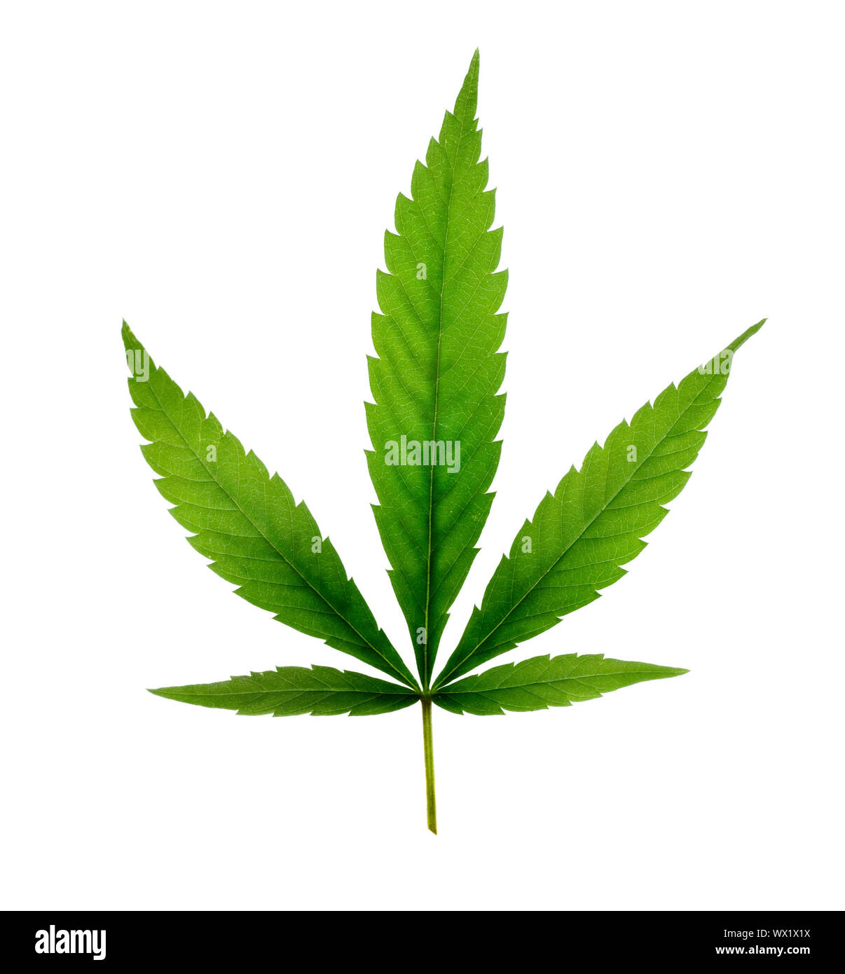 Legalize drugs Cut Out Stock Images & Pictures - Alamy