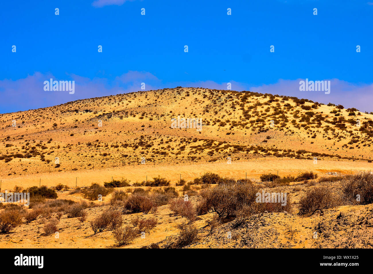 Dry Desert Landscape Stock Photo - Alamy