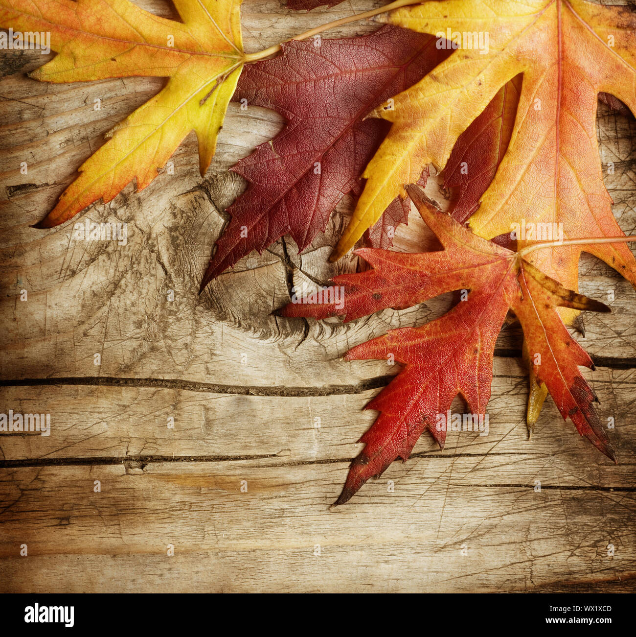 Autumn Leaves over wooden background. With copy space Stock Photo - Alamy