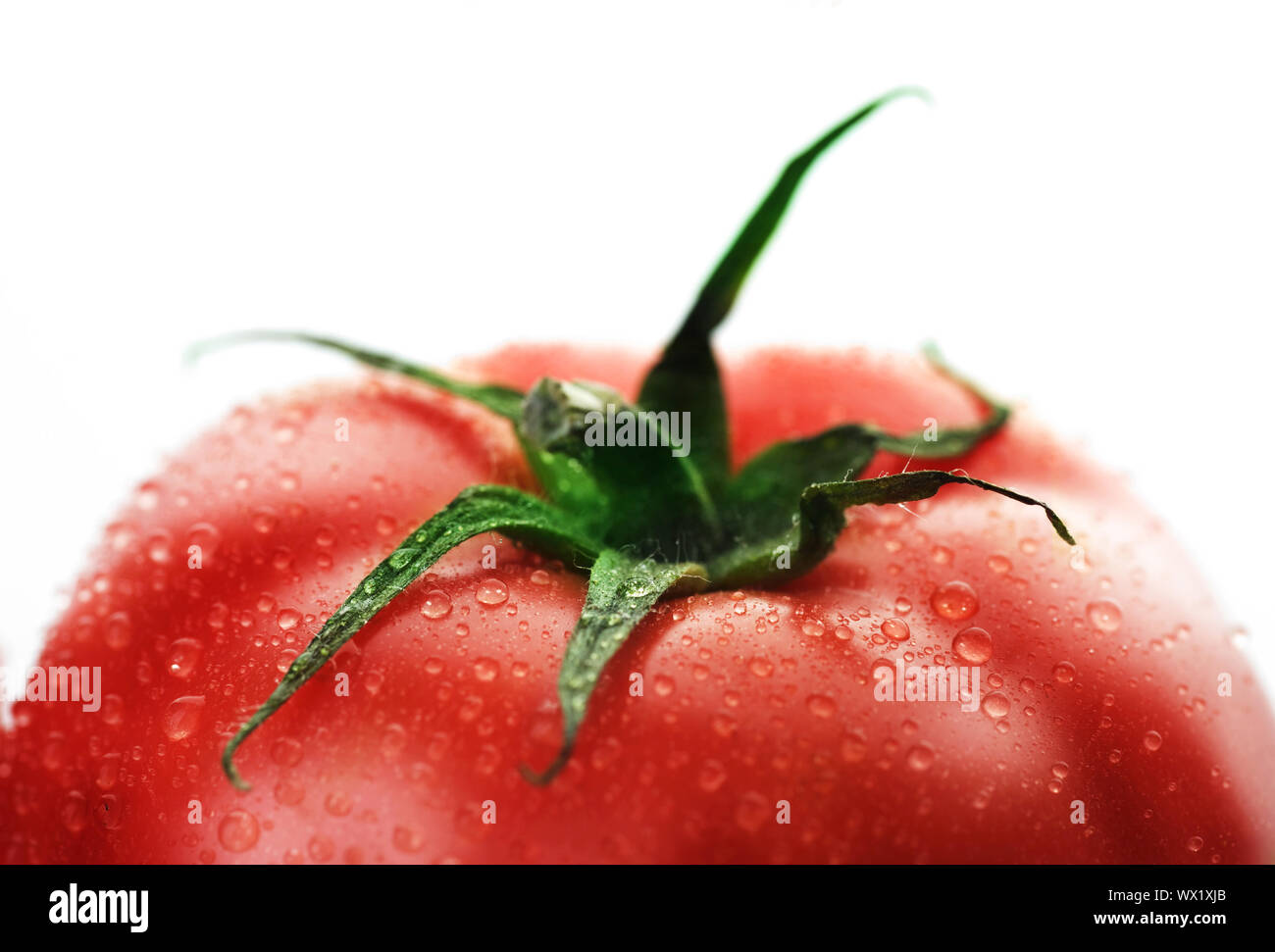 Tomato border hi-res stock photography and images - Alamy