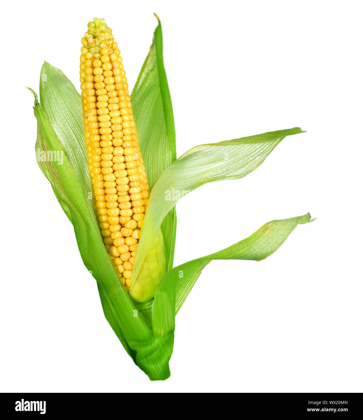 Corn uneven Cut Out Stock Images & Pictures - Alamy