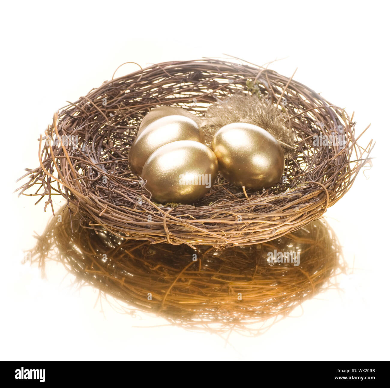 Nest cash Cut Out Stock Images & Pictures - Alamy