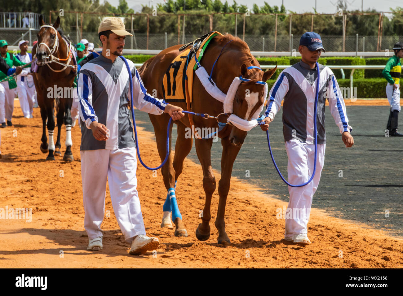 Horse Racing at King Khalid Racetrack, Taif, Saudi Arabia 28/06/2019 ...