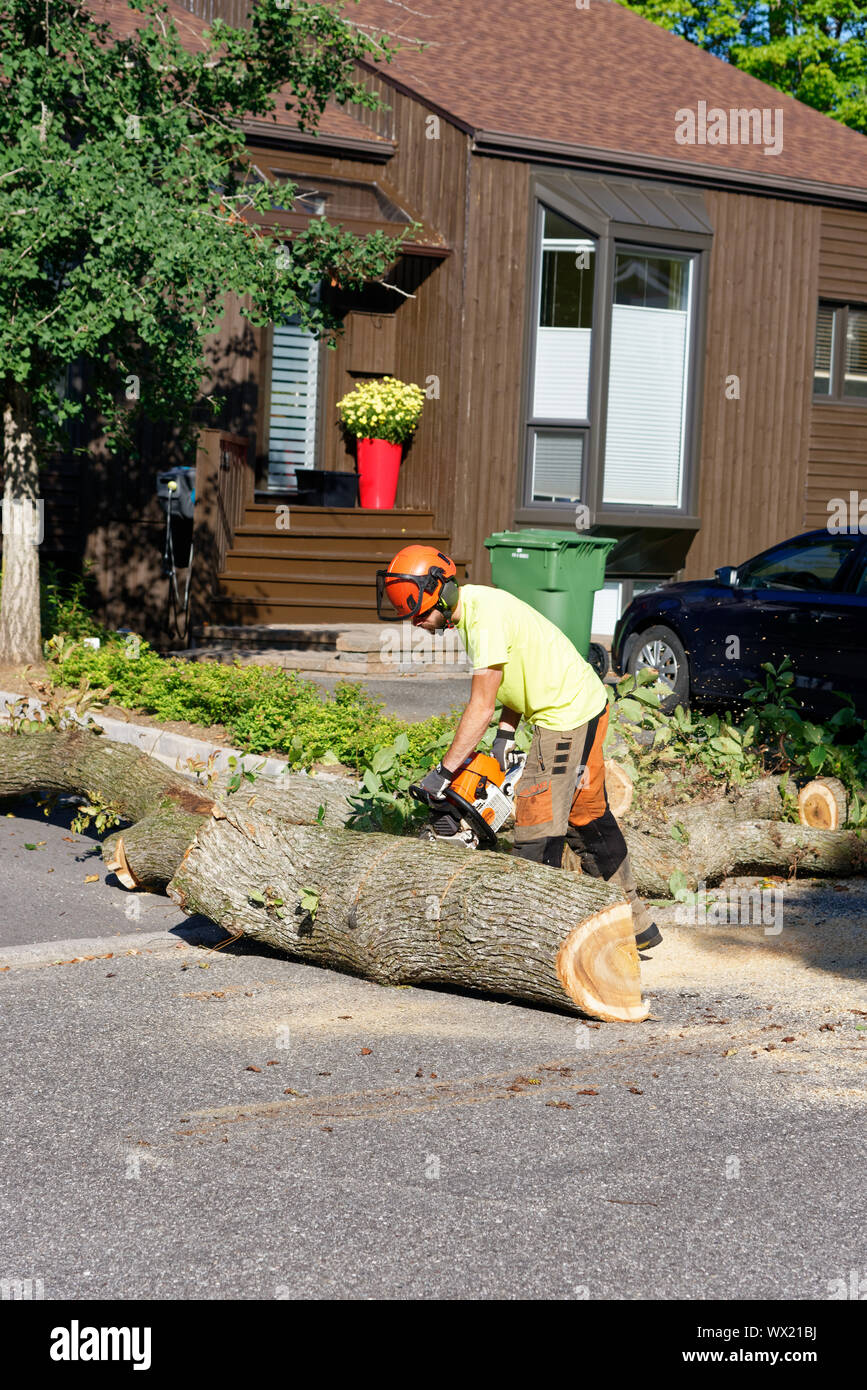 Cutting a log hi-res stock photography and images - Alamy