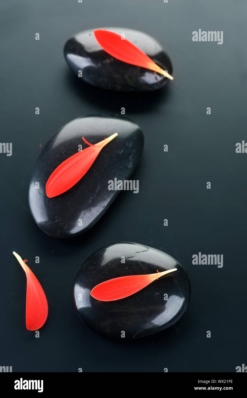 Spa Zen Stones With Red Petals Stock Photo - Alamy