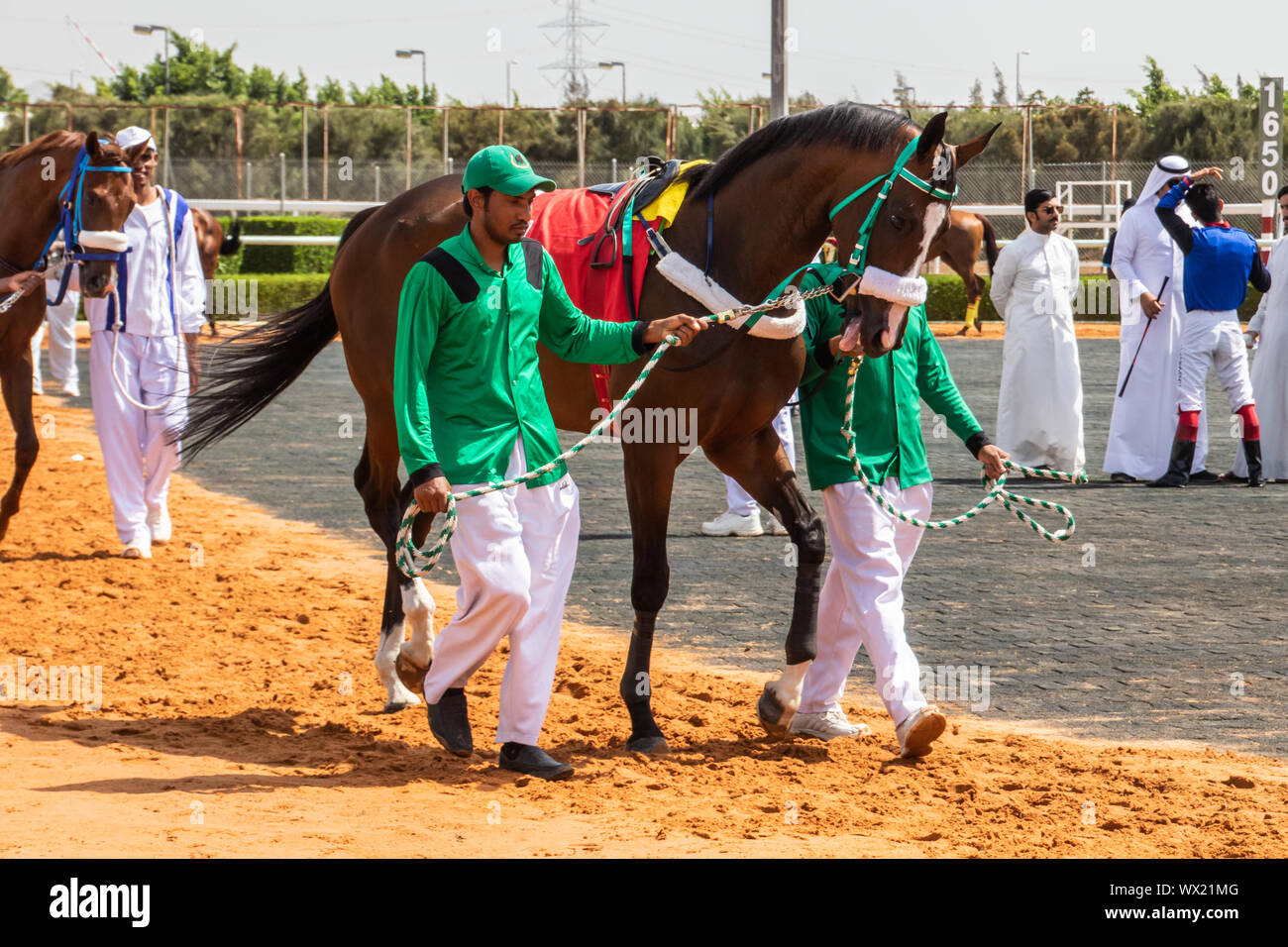Horse racing competition hi-res stock photography and images - Alamy