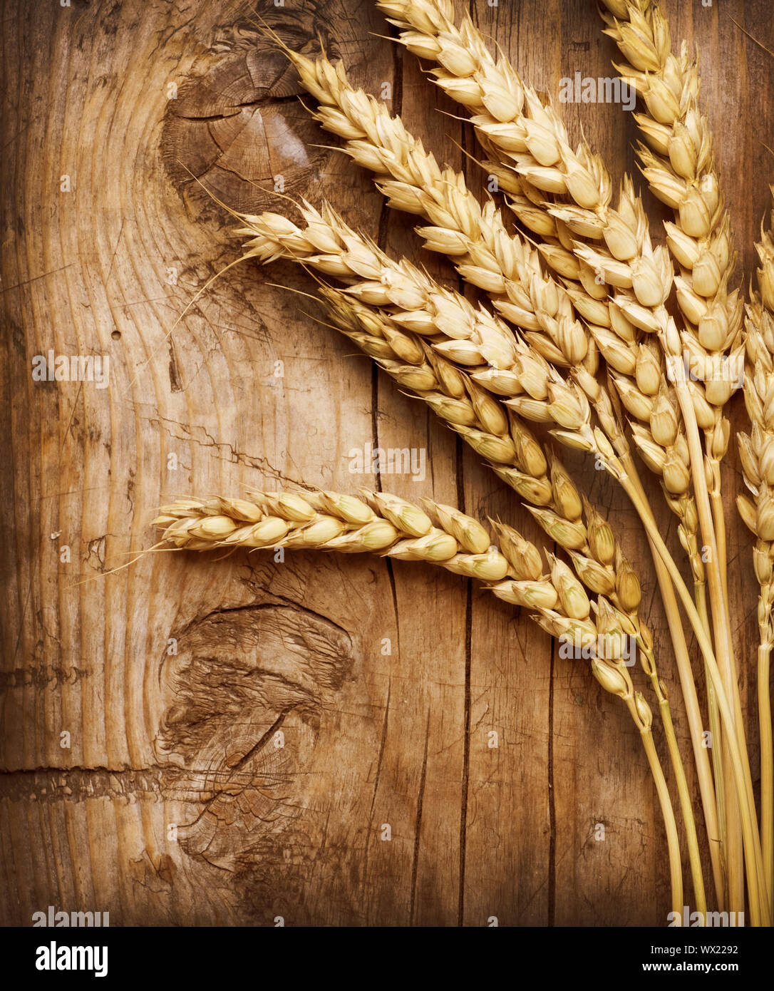 Wheats backgrounds hi-res stock photography and images - Alamy