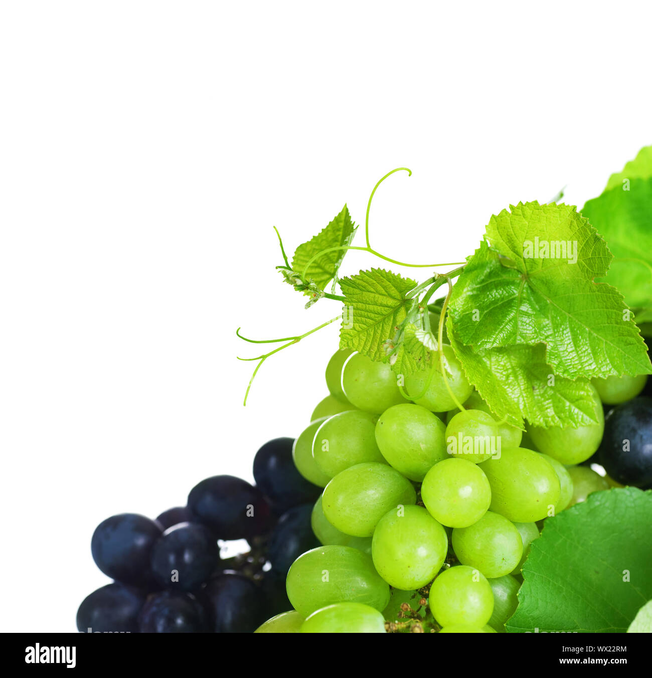 Grapes Border Isolated On White Stock Photo - Alamy