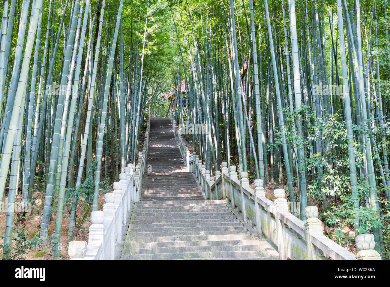 Tranquil forest temple hi-res stock photography and images - Alamy