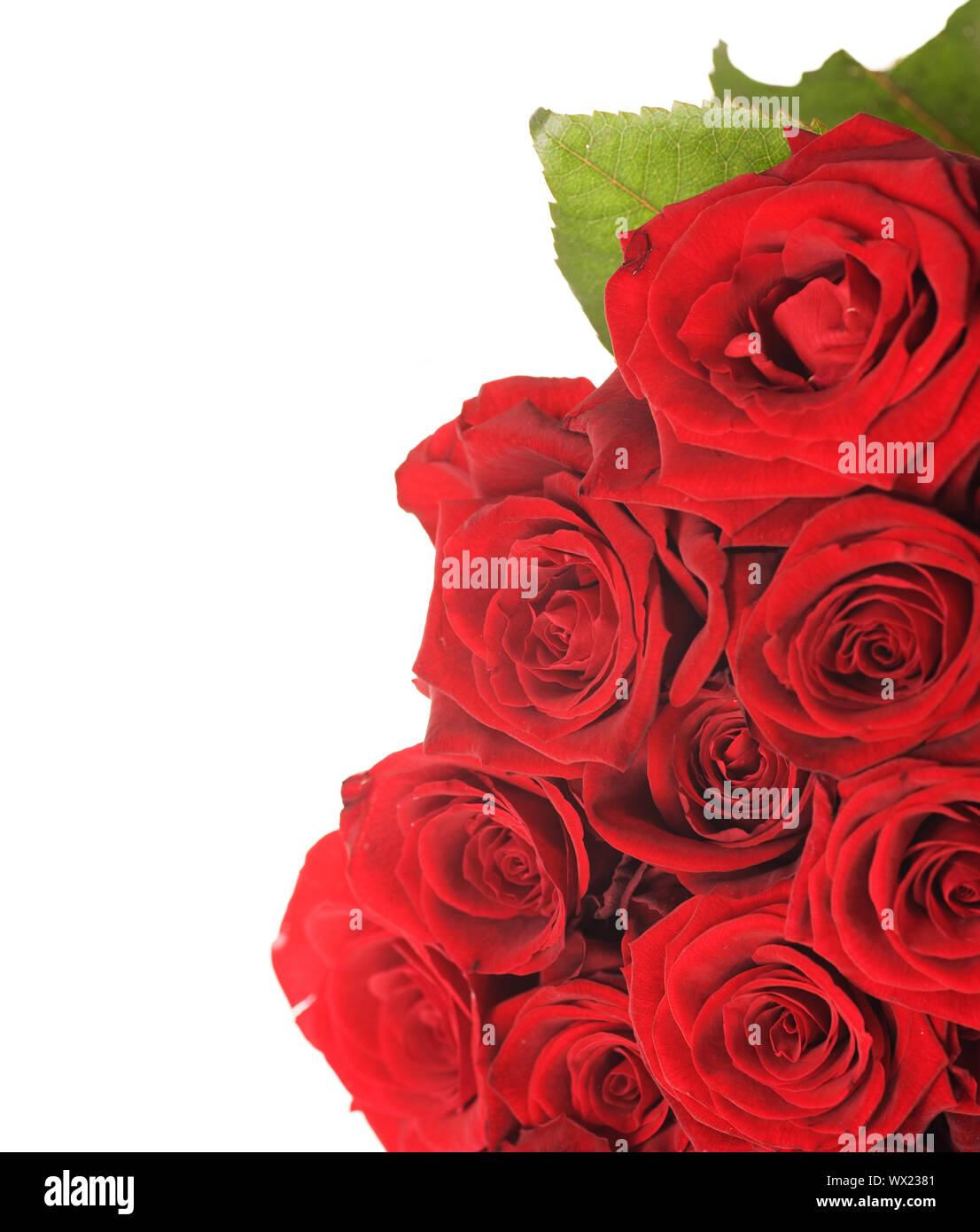 Big Roses Bouquet Stock Photo - Alamy