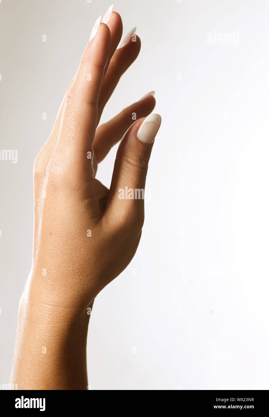 Beautiful Female Hands Stock Photo - Alamy