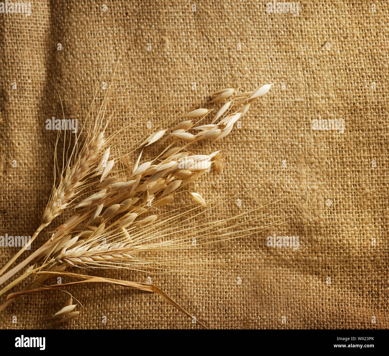 Wheat Ears border on Burlap background. with copy-space Stock Photo - Alamy