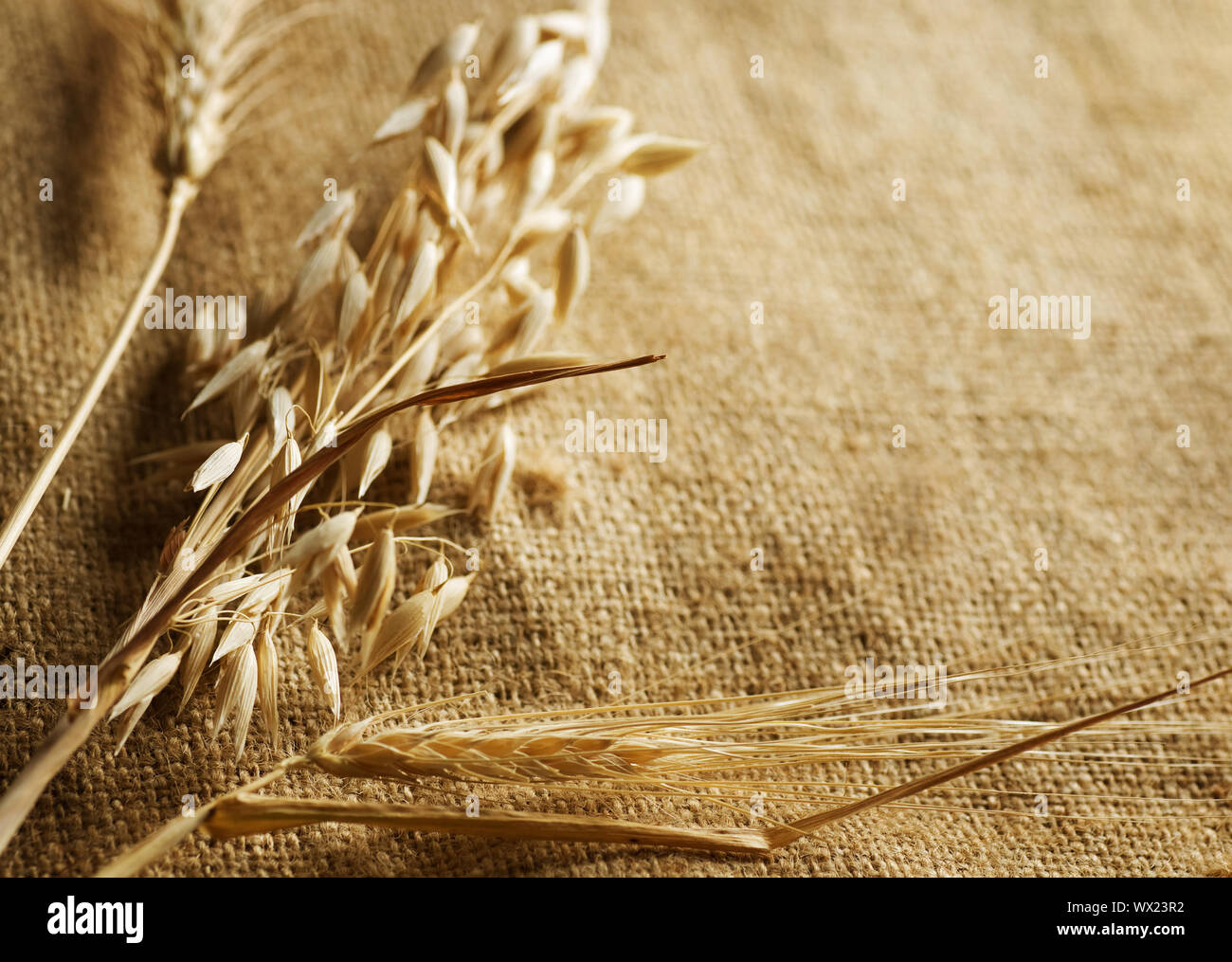 Wheat Ears border on Burlap background. with copy-space Stock Photo - Alamy