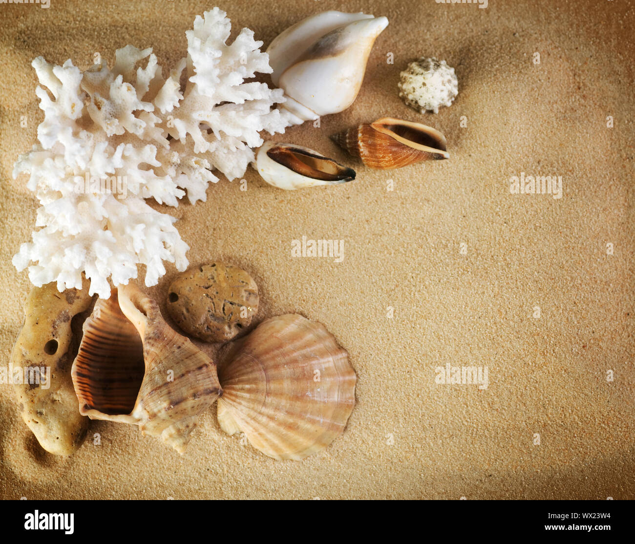 Curved shell forms hi-res stock photography and images - Alamy
