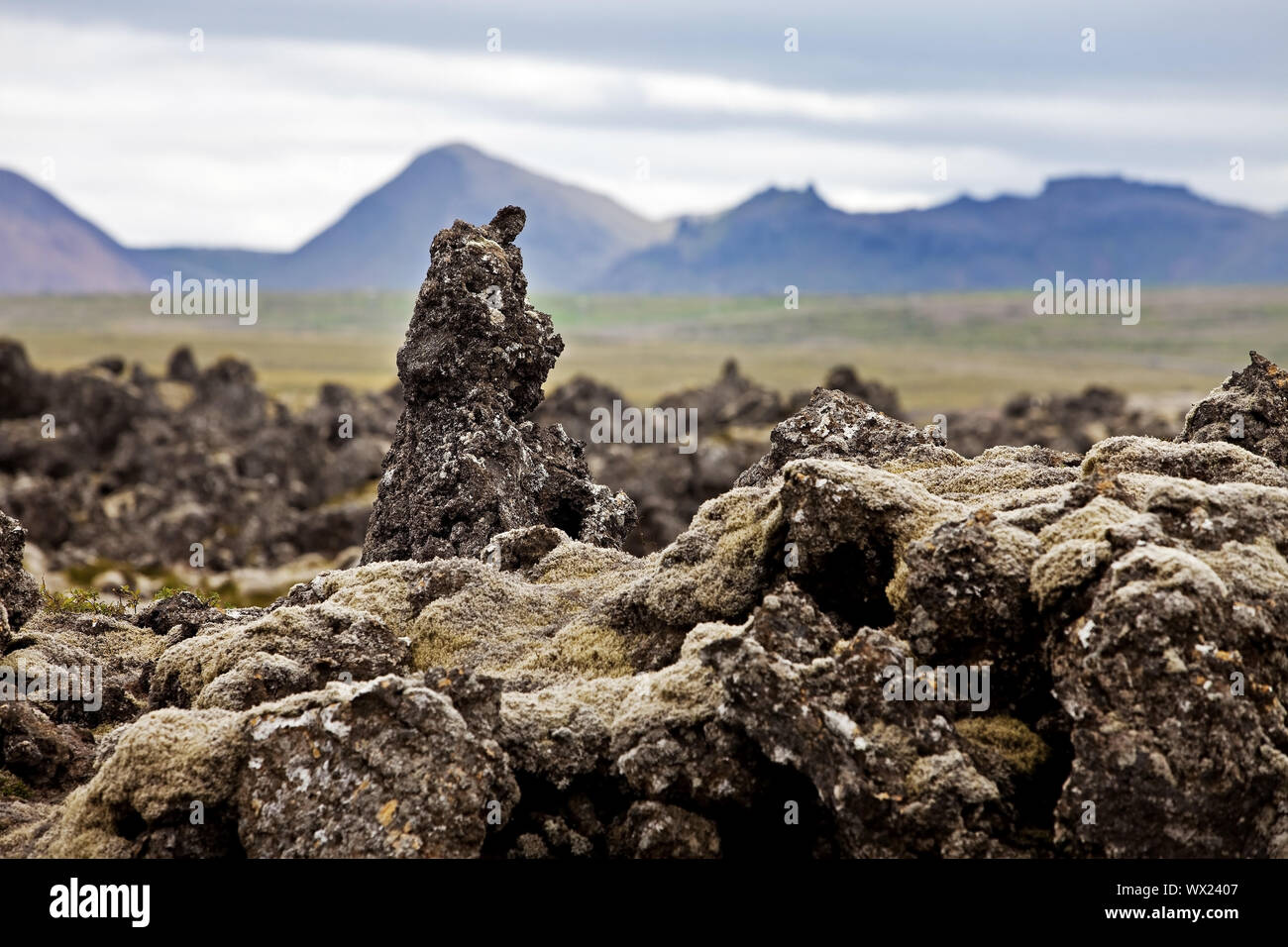 lava field Berserkjahraun, Snæfellsnes, Vesturland, Iceland Europe ...