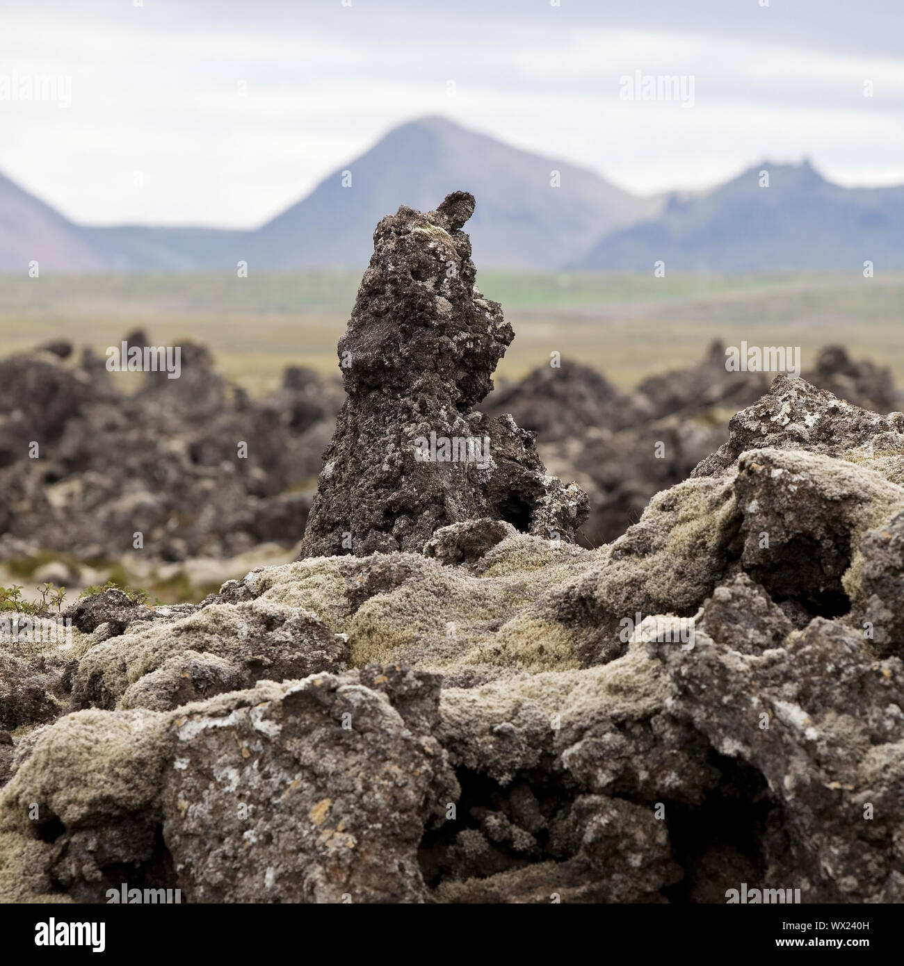 lava field Berserkjahraun, Snæfellsnes, Vesturland, Iceland Europe ...