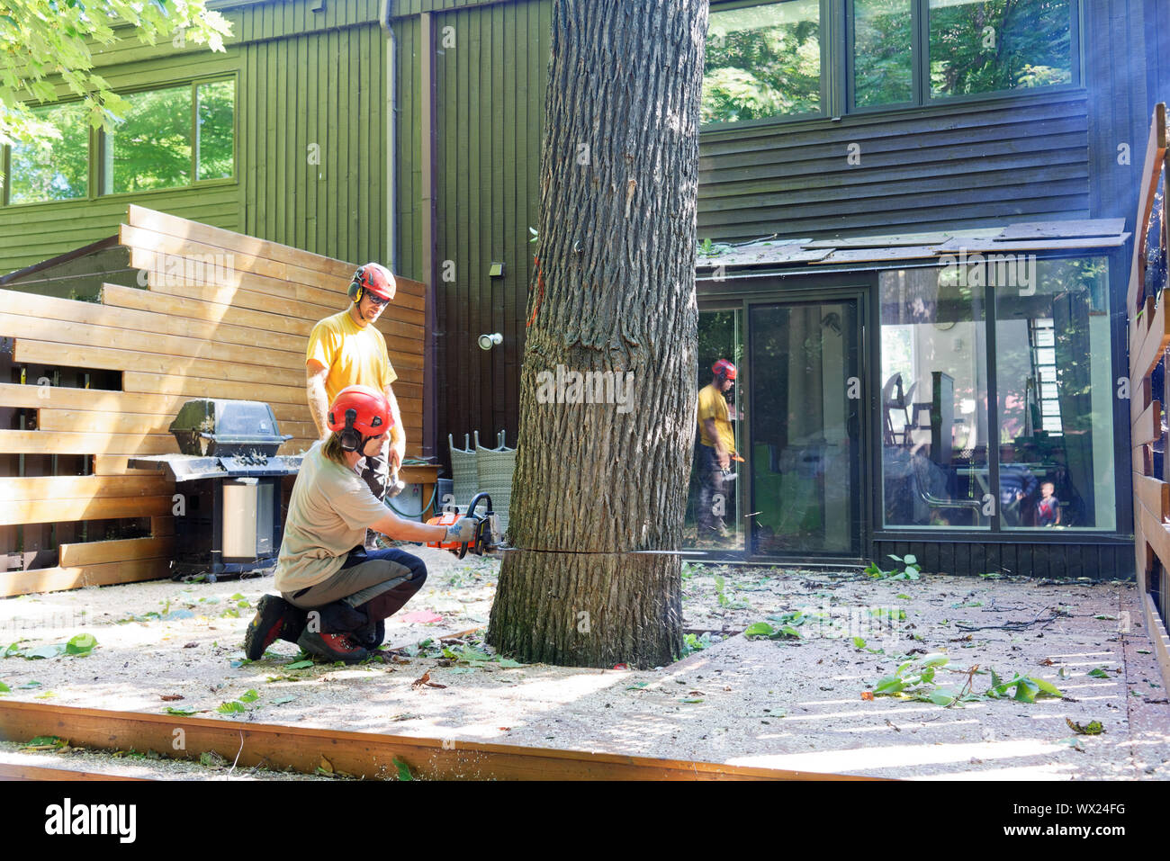 Cutting trunk hi-res stock photography and images - Alamy