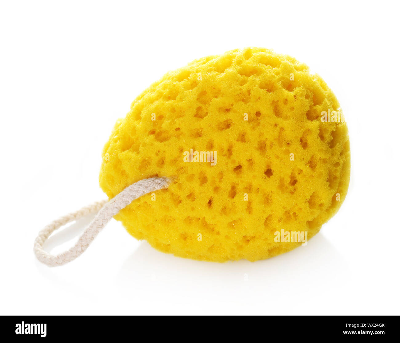Orange sea sponge Cut Out Stock Images & Pictures - Alamy