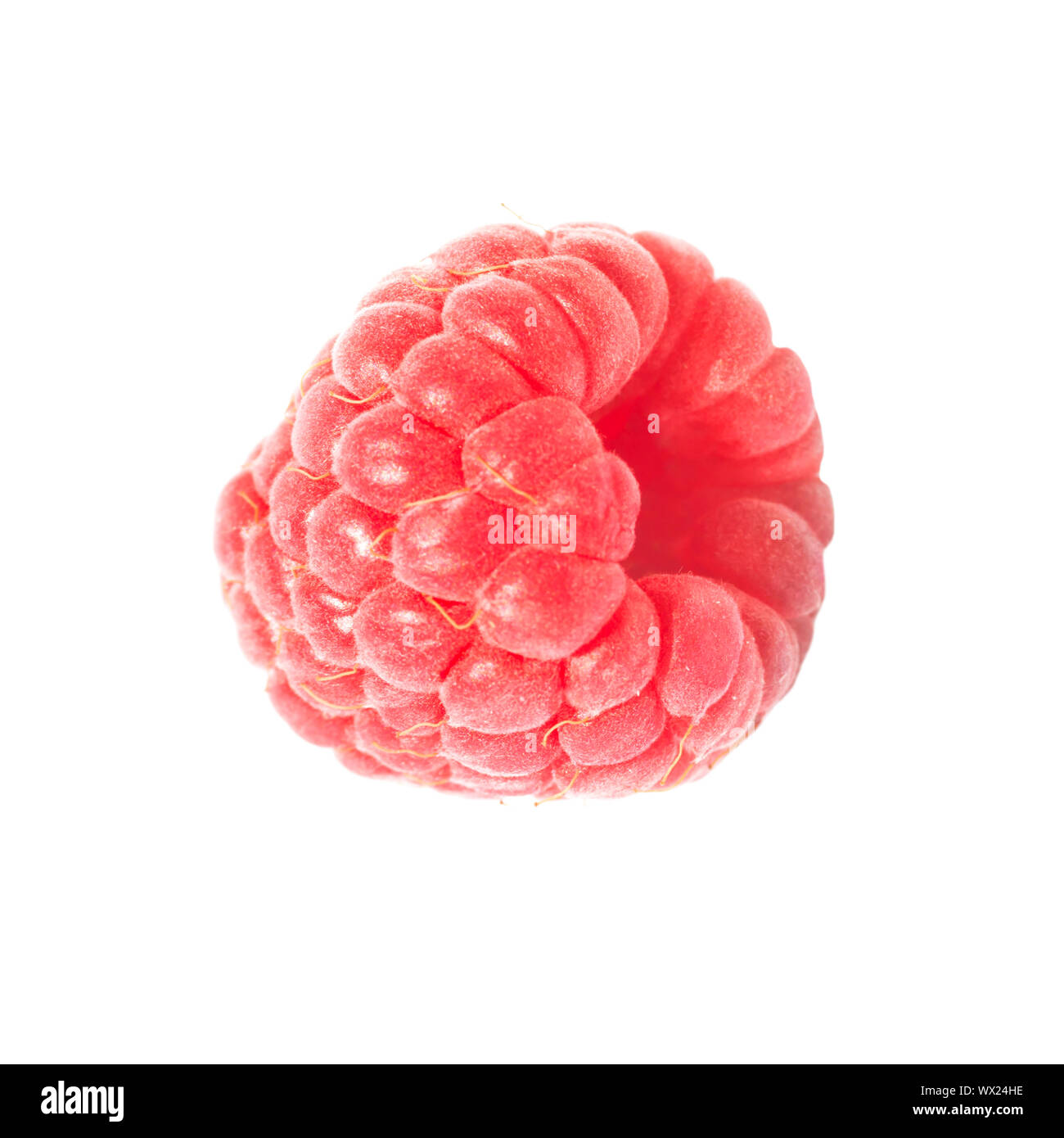 One raspberry isolated on white Stock Photo - Alamy
